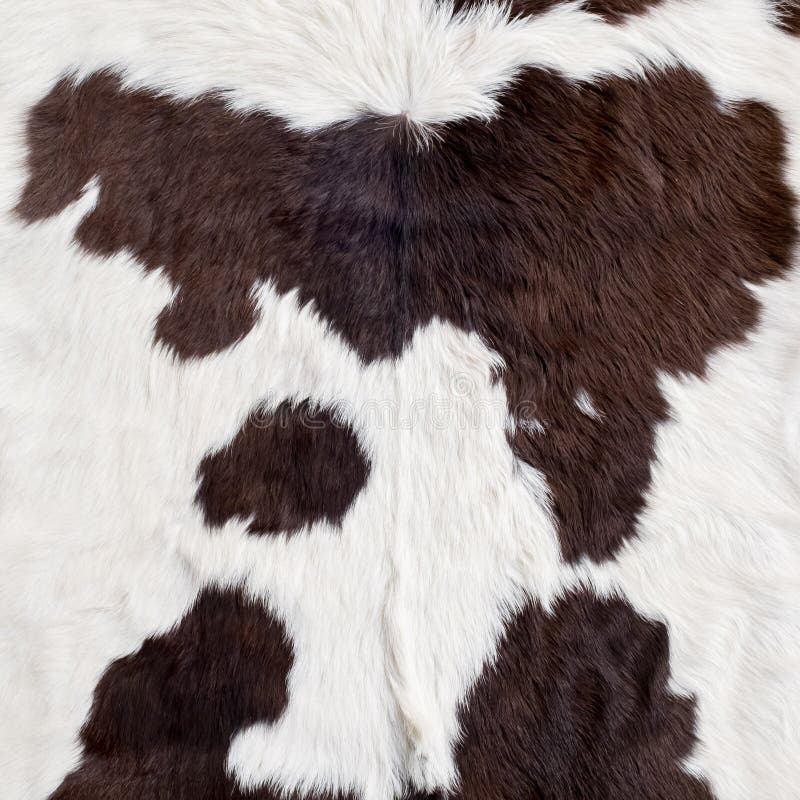 Cow skin texture stock photo. Image of fell, fluffy, hide - 66738984