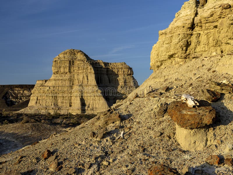 Cow Skull in a Desert Scene in Oregon Stock Image - Image of pillars ...