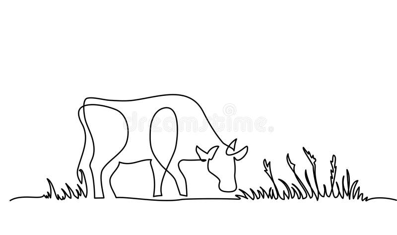 Cow Standing and Eating Grass. Continuous One Line Drawing Stock Vector ...