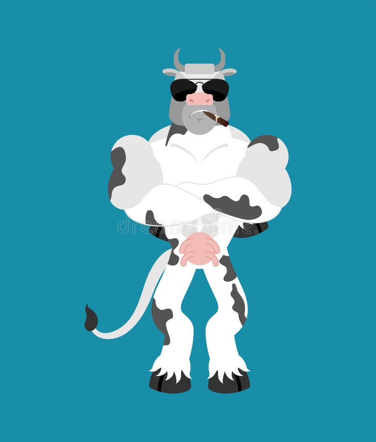 Cow Strong Cool Serious. Farm Animal Strict Stock Vector - Illustration ...