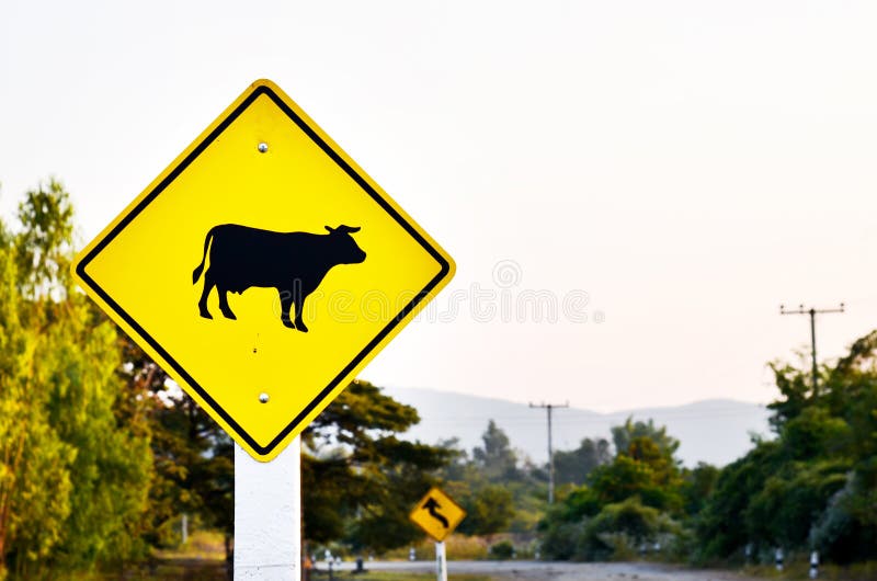 Cow warning sign stock image. Image of safety, beware - 36550035