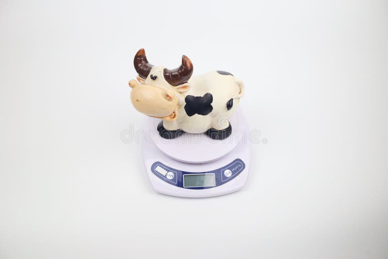 Cow Weight Scales Stock Photos - Free & Royalty-Free Stock Photos from ...