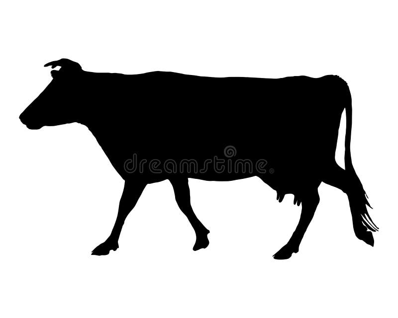 Cow on white stock vector. Illustration of vector, mammal - 9686674