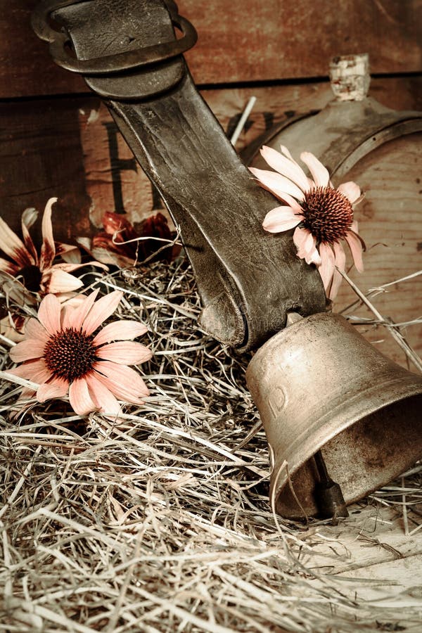 Cowbell for cattle stock photo. Image of pasture, background - 172102232