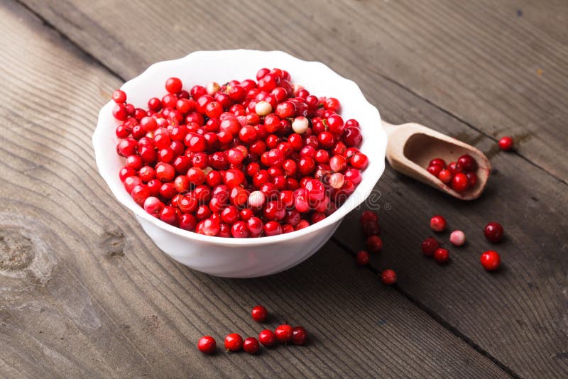 Cowberry stock photo. Image of scoop, cowberry, berries - 27233158