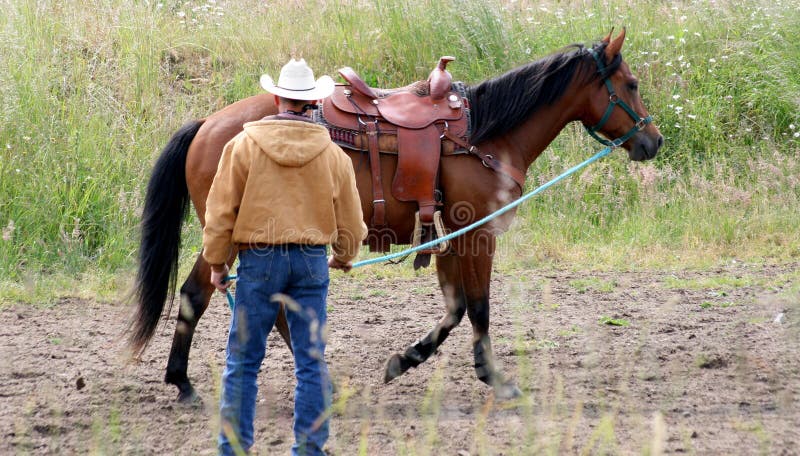 Mâle Dans Des Bottes De Cowboy Se Tenant Sur Une Branche Rose Blanche ...