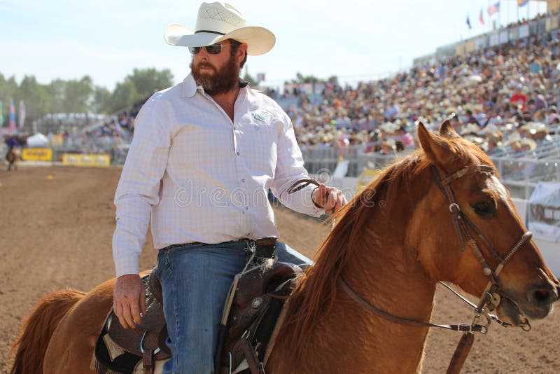 Cowboy Bello Della Barba Sul Cavallo Fotografia Stock Editoriale ...