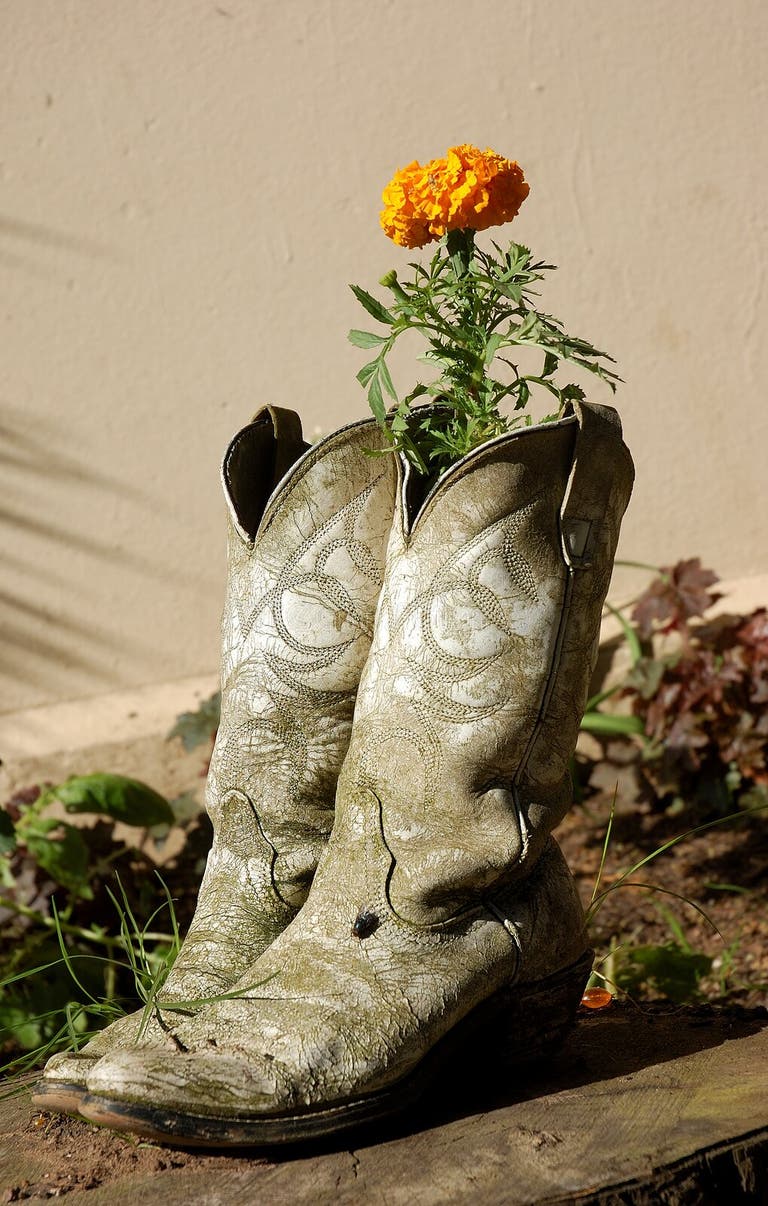 248 Still Life Cowboy Boots Stock Photos - Free & Royalty-Free Stock ...