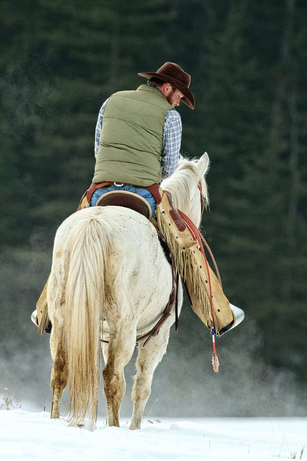 Cowboy Checking His Equipment Editorial Photo - Image of snow, bridle ...