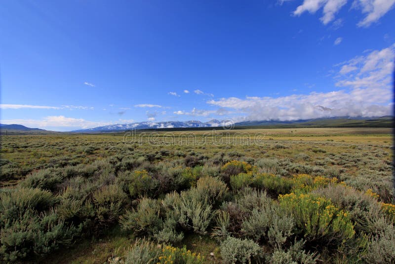 Cowboy Country stock photo. Image of yellow, valleys - 100958236