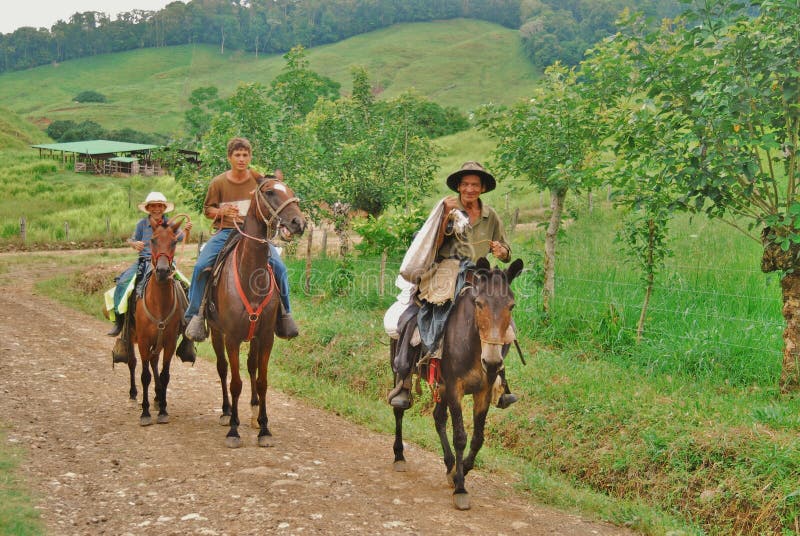 Cowboy de Costa Rica fotografia stock editoriale. Immagine di cowboy ...