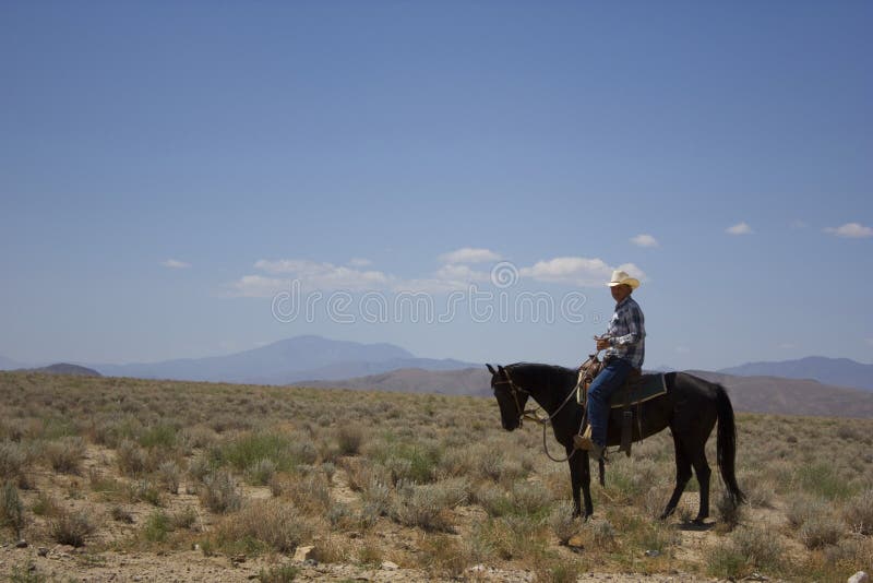 Cowboy in the Desert stock image. Image of calm, boots - 10884129