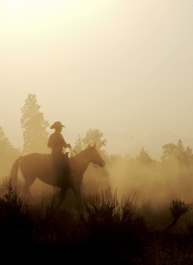 Cowboy in the Dust stock photo. Image of outdoors, chaps - 2434338