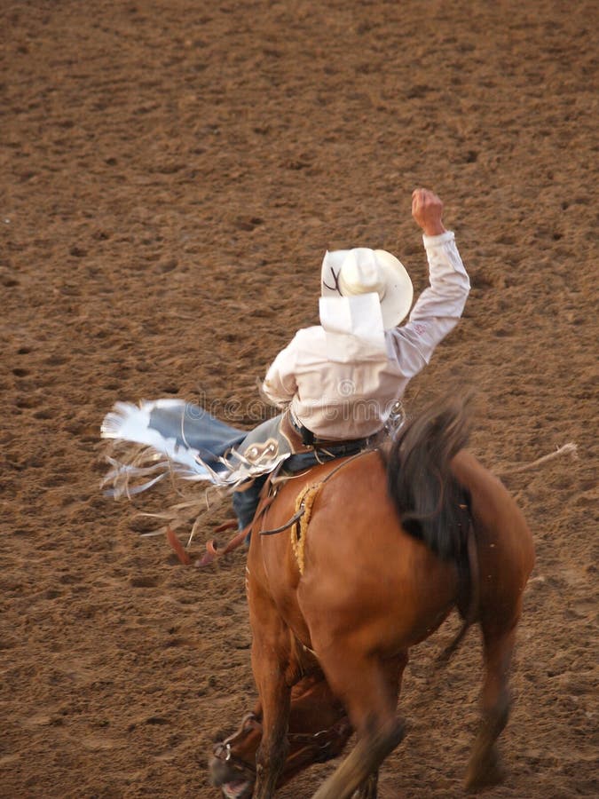 Cowboy do rodeio foto de stock. Imagem de rodeio, cavalo - 2721604