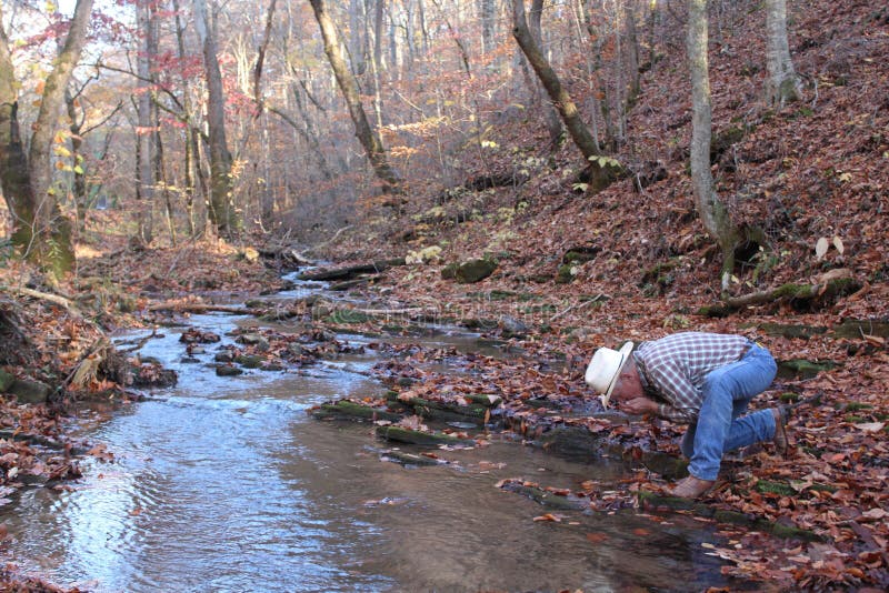 Cowboy Drinking from the Stream Stock Image - Image of rest, autumn ...