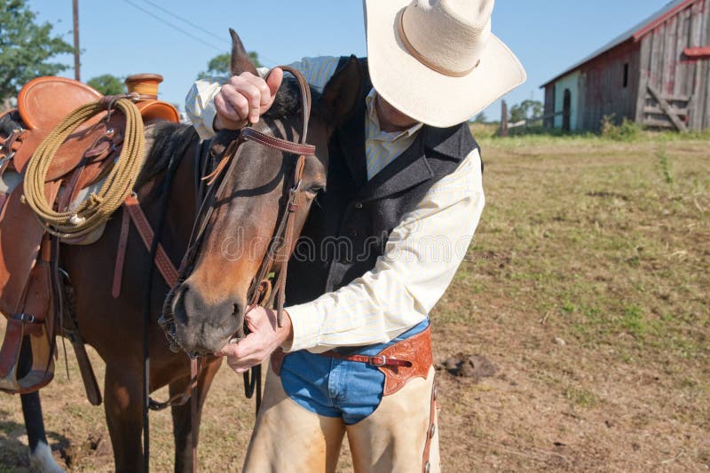 Cowboy et son cheval image stock. Image du horseback - 14359211
