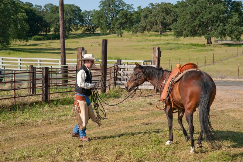 Cowboy et son cheval photo stock. Image du action, image - 14359212