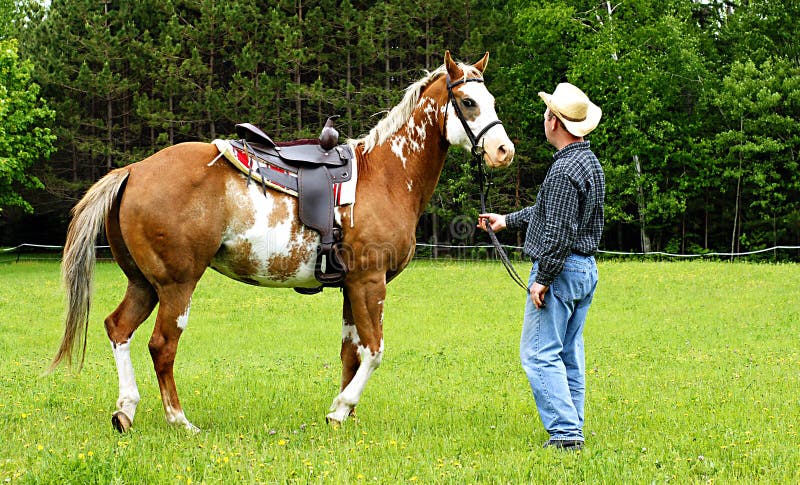 Cowboy et son cheval photo stock. Image du sportif, selle - 5566752