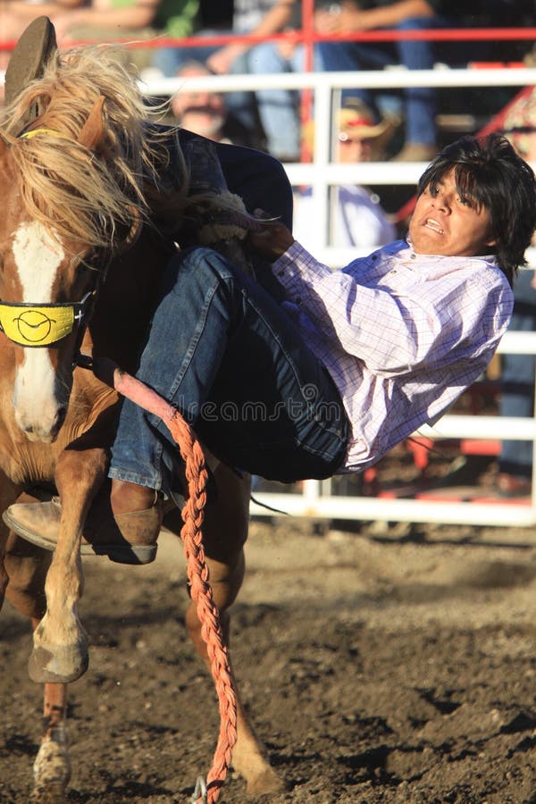 Horses Bucking People Off