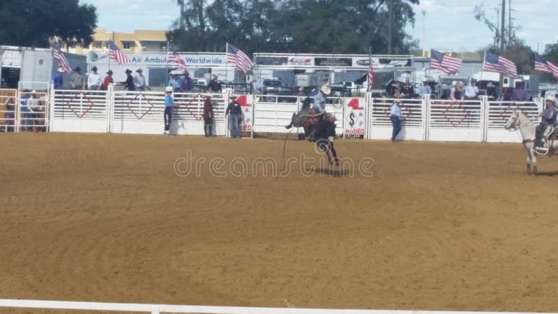 Cowboy on horse editorial image. Image of race, sand - 87706395
