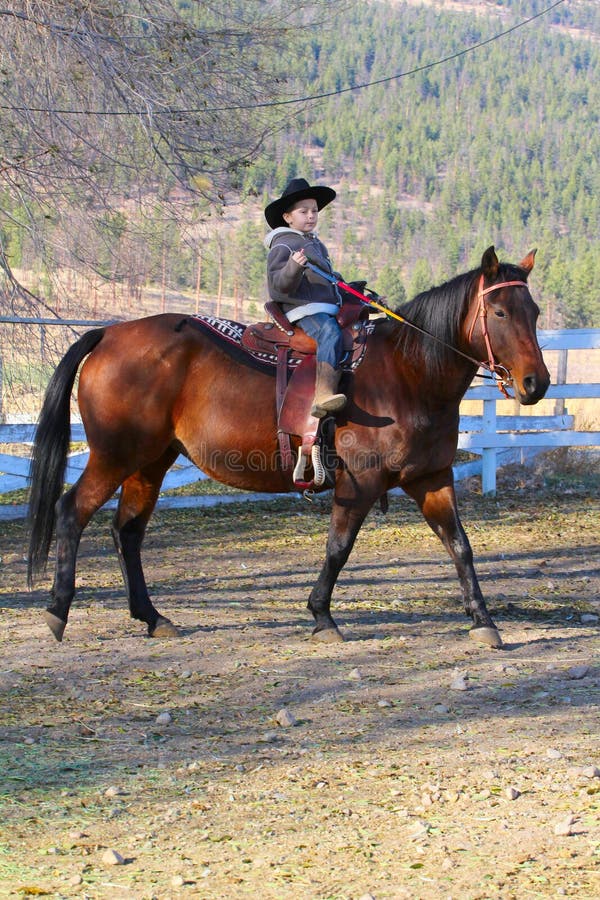 Cowboy and horse stock image. Image of livestock, jacket - 42658359