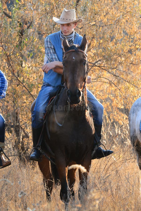 Cowboy on horseback stock photo. Image of cowboy, desert - 89428262
