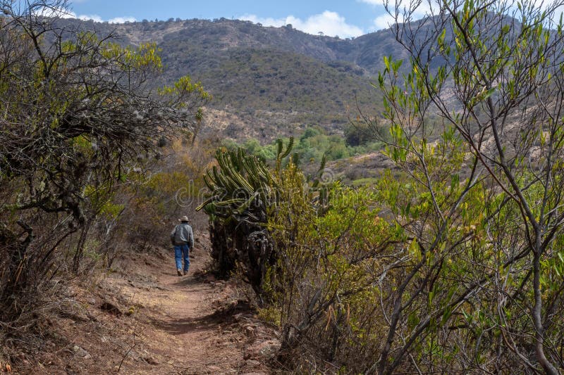 A Cowboy Man Walks on a Trail in the Mountains Semi Desert Stock Photo ...
