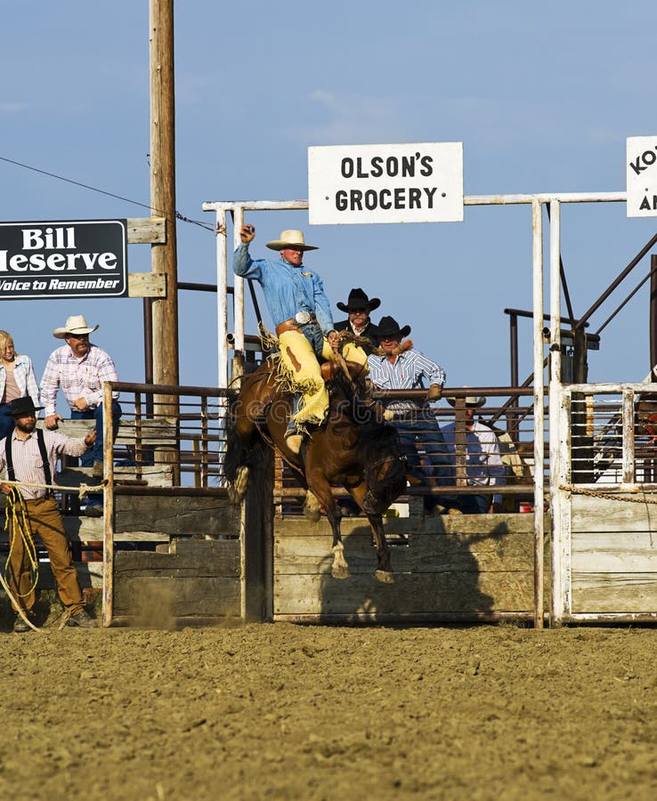 Cowboy Rides a Bucking Horse at Rodeo Editorial Photography - Image of ...
