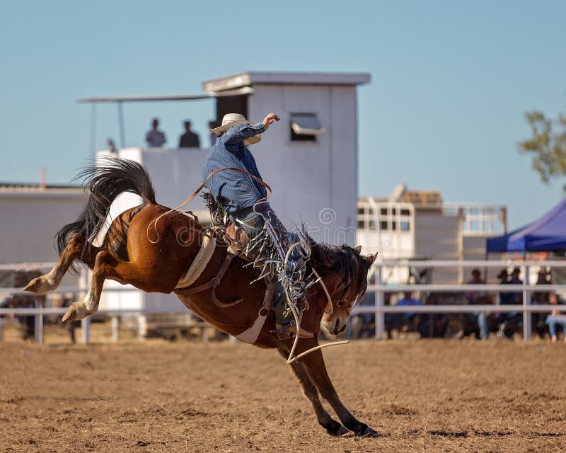 Bucking Horse Riding Rodeo Competition Arkivfoto - Bild av cowboy ...