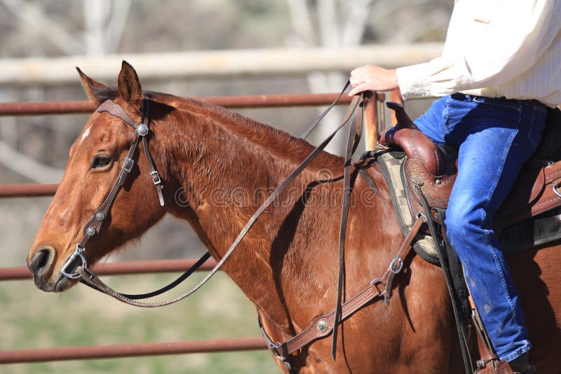 A Cowboy Riding His Horse Up a Hill. Stock Image - Image of climbing ...