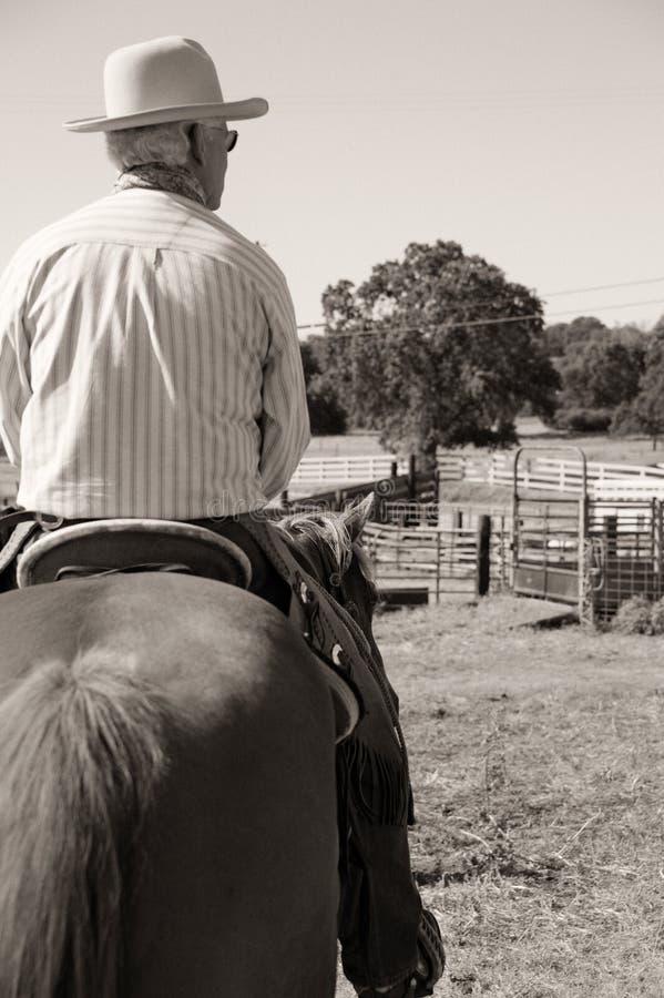 Cowboy riding a horse stock photo. Image of cowboy, activity - 14359218
