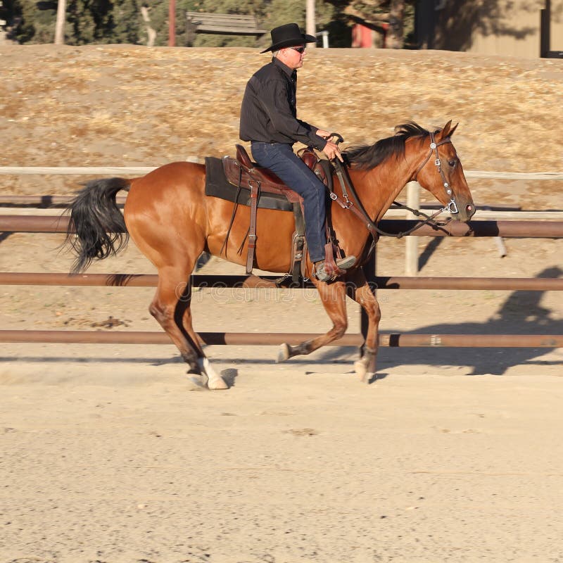 3+ Cowboy leading horse Free Stock Photos - StockFreeImages