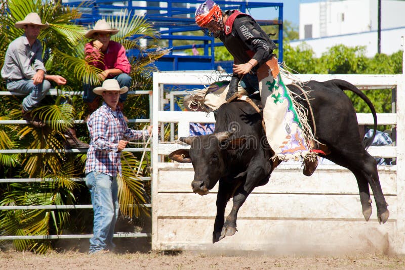 Cowboy S Riding Dangerous Bull on Rodeo Editorial Image - Image of gold ...