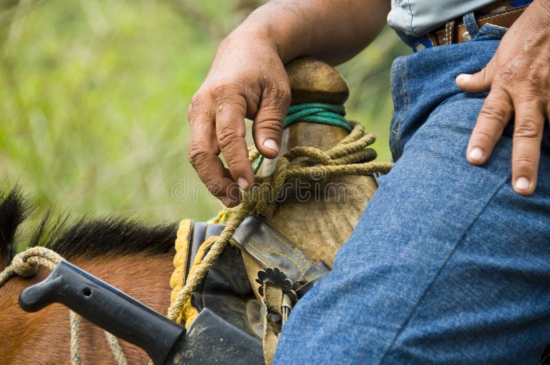 Cowboy in the saddle stock photo. Image of rough, closeup - 8804214