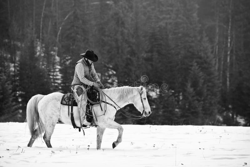 Cowboy tired in the saddle editorial photography. Image of guns - 49520847