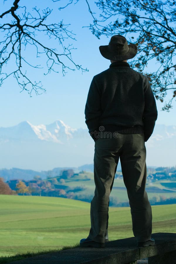Cowboy Tree Mountain stock photo. Image of tree, fall - 3761334