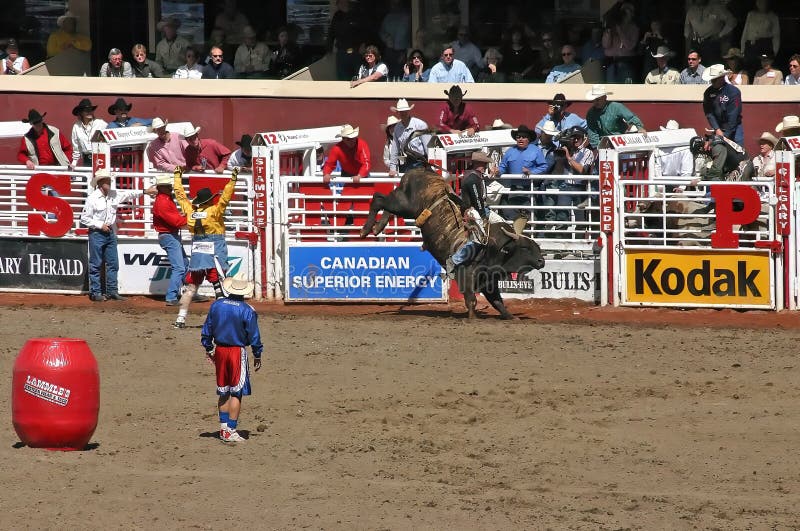 Cowboy Trying To Ride a Wild Bull Editorial Stock Image - Image of july ...
