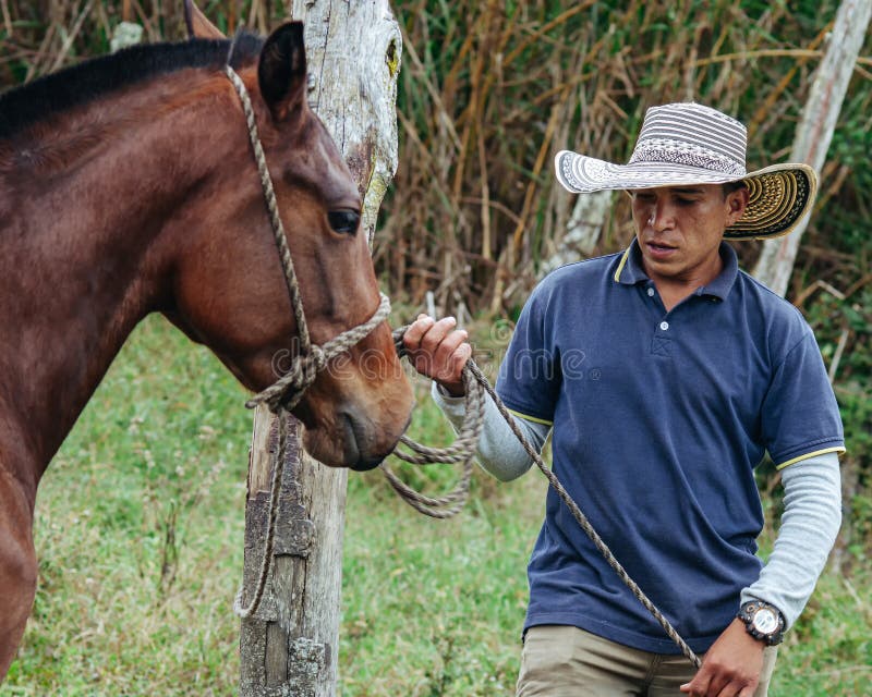 Cowboy Tying Up the Horse with a Lasso Stock Image - Image of riding ...