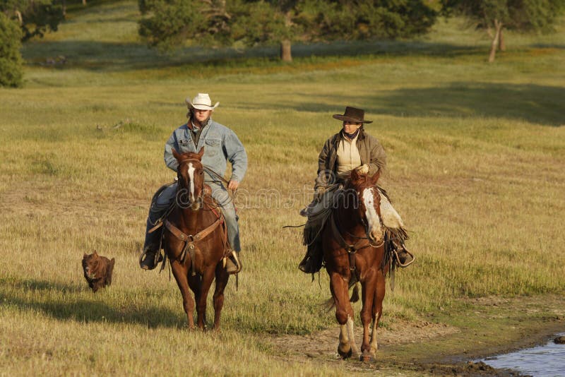 Cowboys on Horseback stock photo. Image of spring, grass - 5306646