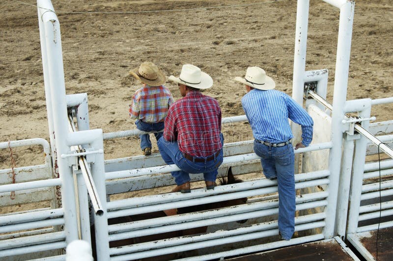 Old Rodeo Gates stock photo. Image of dirt, western, outdoor - 20176394