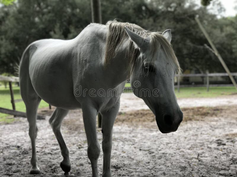 500 Cowering Stock Photos - Free & Royalty-Free Stock Photos from ...