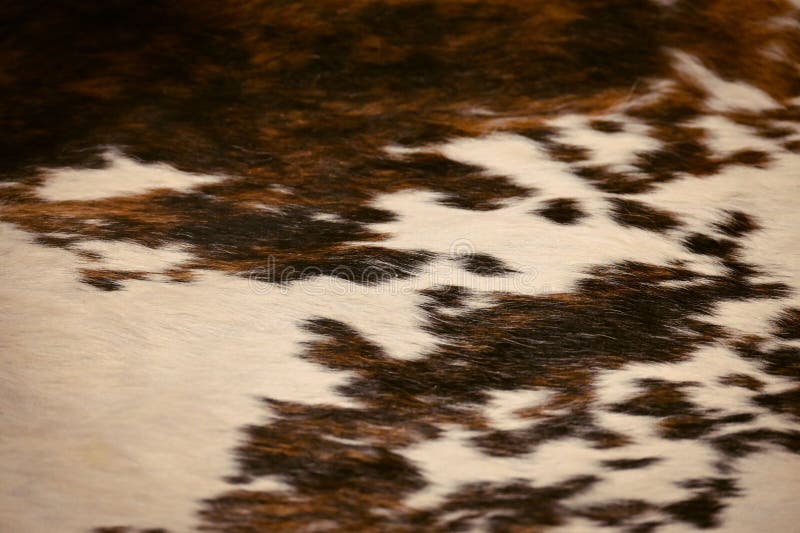Cowhide Pattern Fabric, Showcasing Its Unique Texture and Natural ...