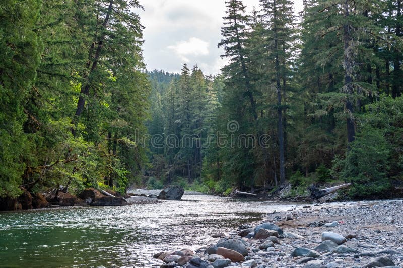 The Cowlitz River in Washington Stock Image - Image of high, location ...