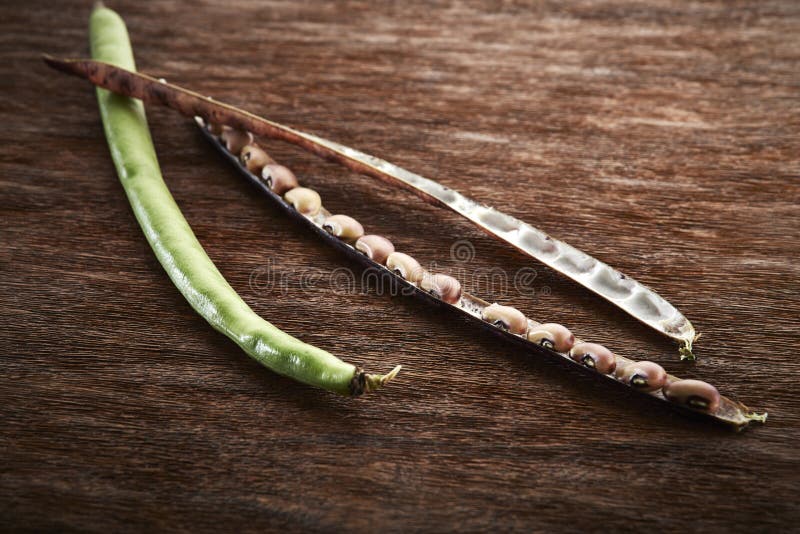 Cowpea stock image. Image of beans, pods, bean, food - 40605465