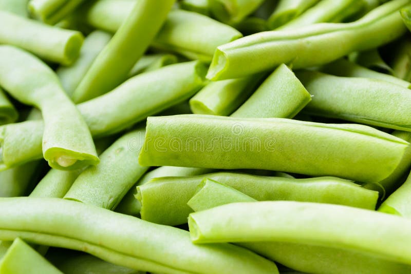 Cowpea stock photo. Image of food, vegetable, cowpea - 14449866