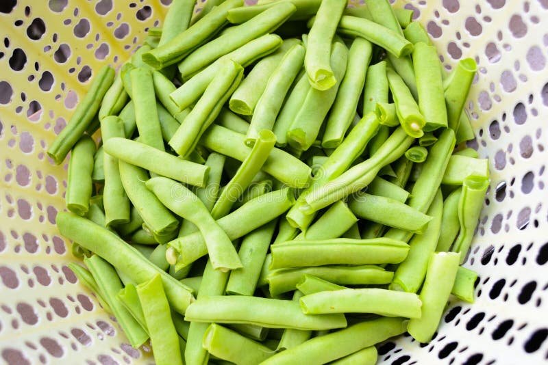 Cowpea stock photo. Image of food, vegetable, cowpea - 14449866