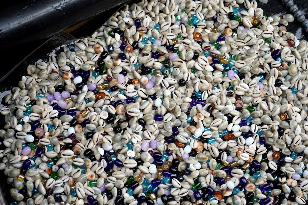 Cowries Shells Collected from Ocean at Puri Stock Photo - Image of ...