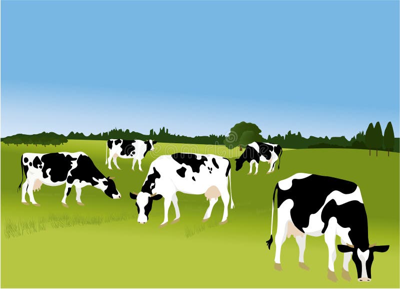 Cows stock vector. Illustration of group, cattle, cartoon - 25760188