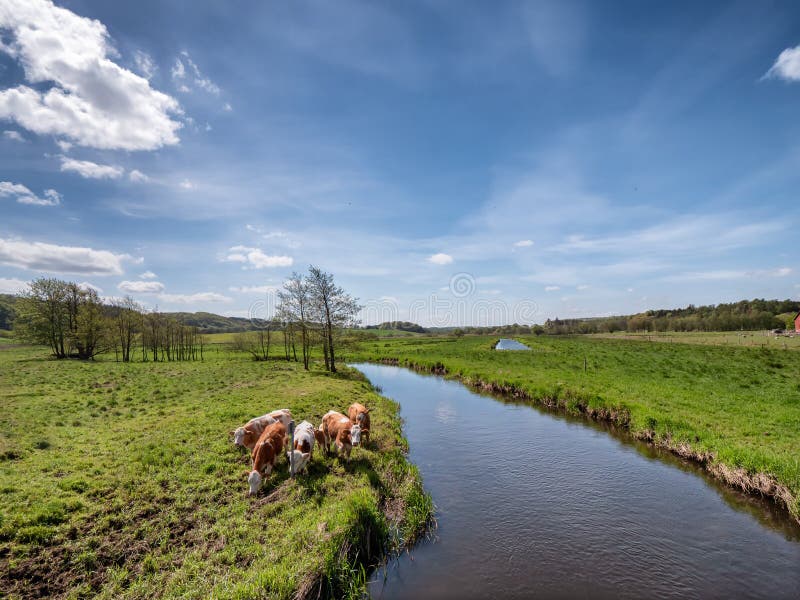 Vejle Vejle River in Denmark Stock Photo - Image of denmark, fresh ...