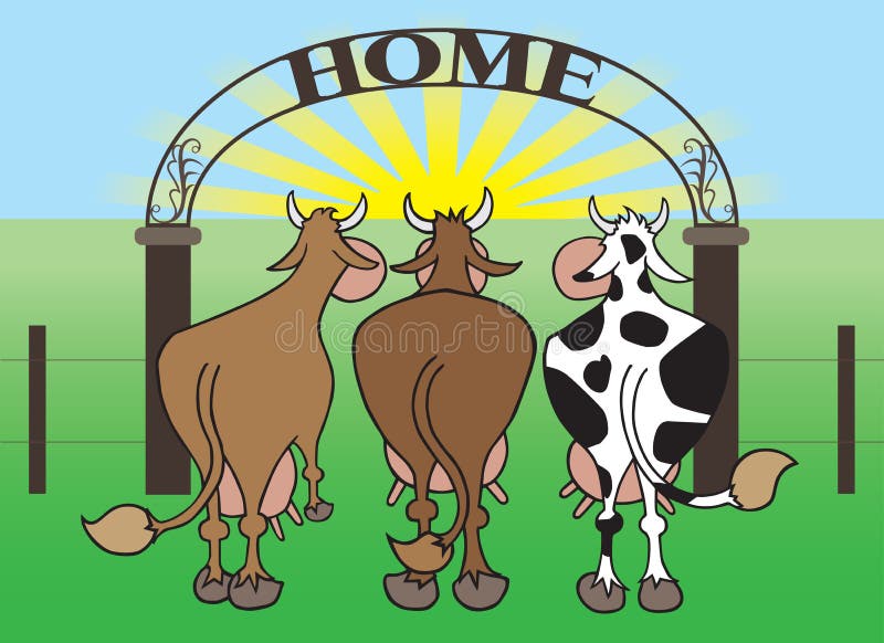 Cows Coming Home stock vector. Illustration of home, pasture - 38142233